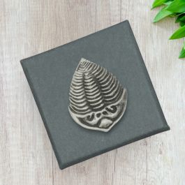 Trilobite English Made Pewter Lapel Pin Badge In Box